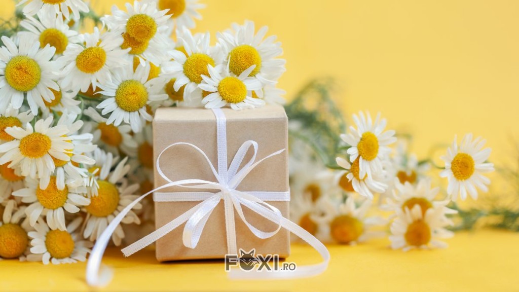 Idei de cadouri deosebite pentru mama – Top 650+ idei – Foxi