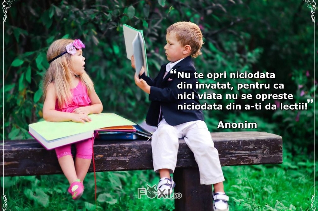 🥇 1575+ Citate Celebre – Citate motivationale despre viata, iubire ...